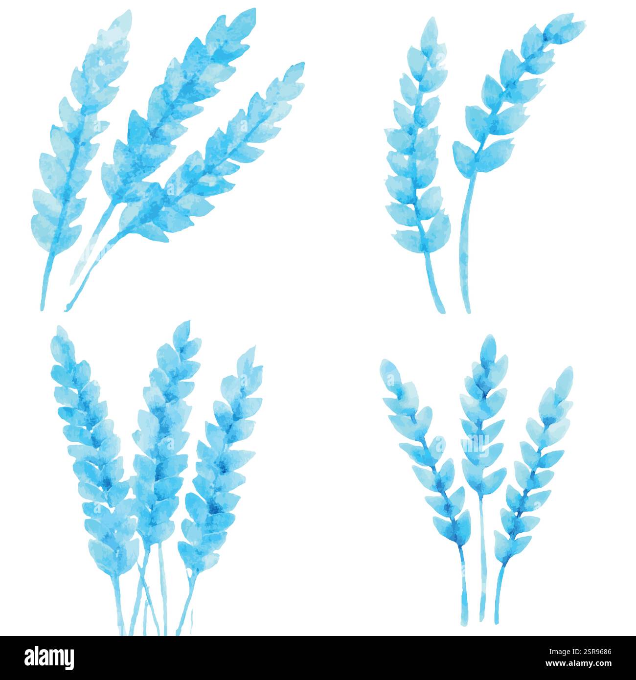 A handdrawn watercolor illustration of Wheat stalk hand drawn set that ...
