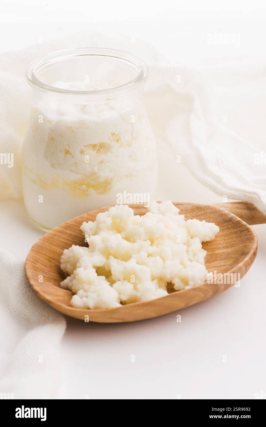 Milk kefir grains in spoon. Yeast bacterial fermentation starter Stock ...