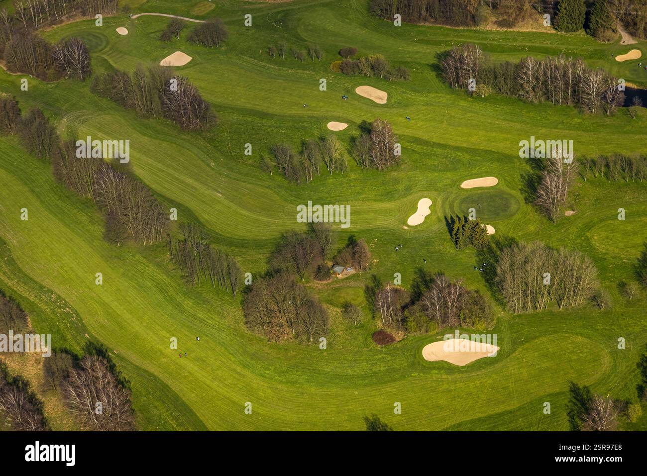 Aerial view, golf course Golfclub Hösel with green and bunker, golf ...