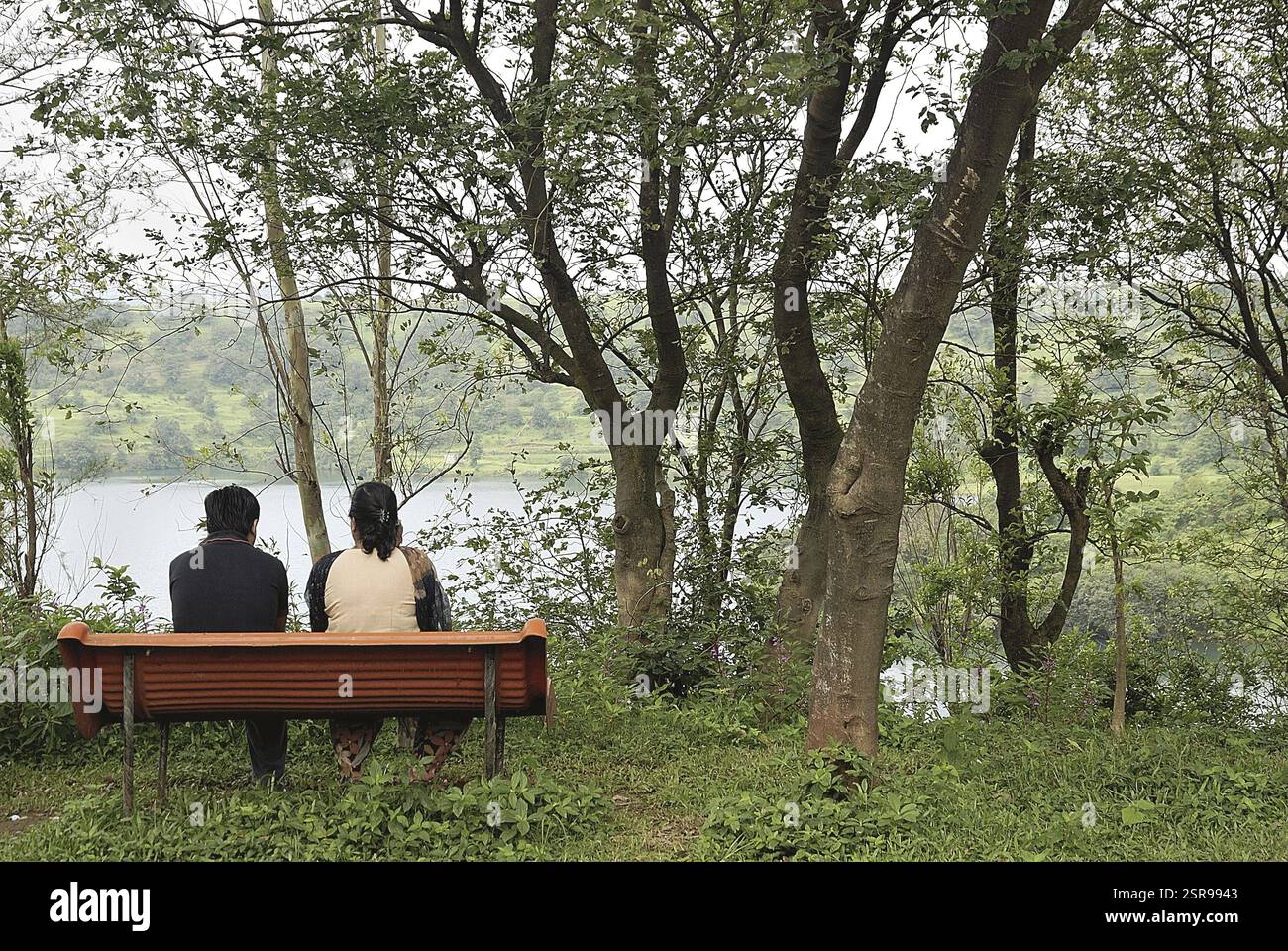 MTDC resort couple under trees, Wilson Dam, Bhandardhara, Nashik District, Maharashtra, India ...
