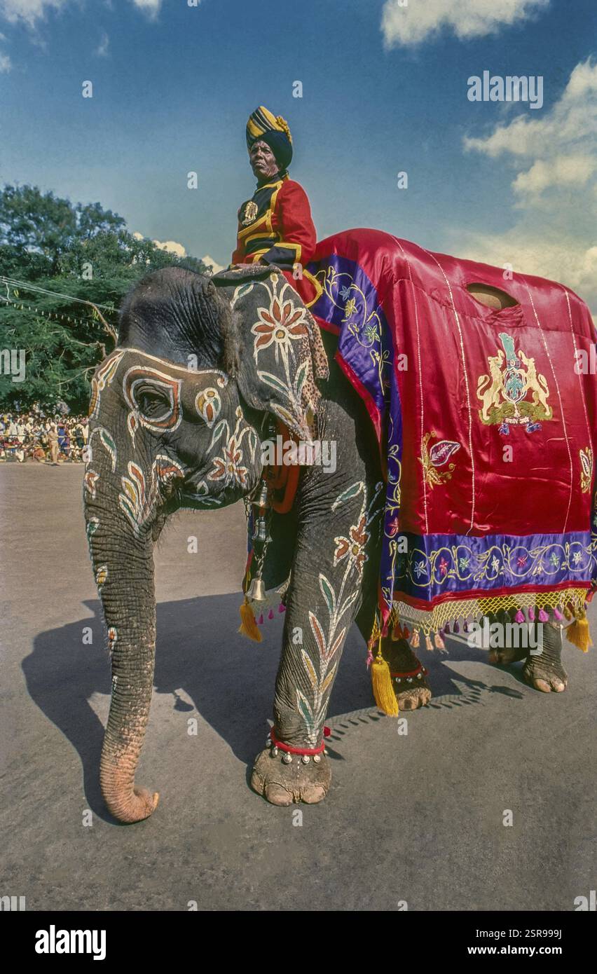 Mysore Dasara elephant procession, Mysuru, Karnataka, India, Asia Stock ...