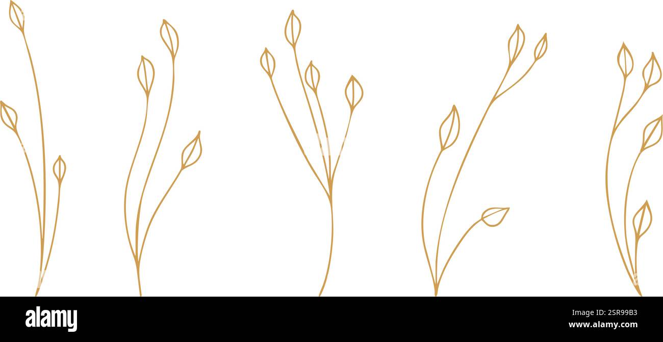 Delicate botanical leaf designs on a white background. Vector ...