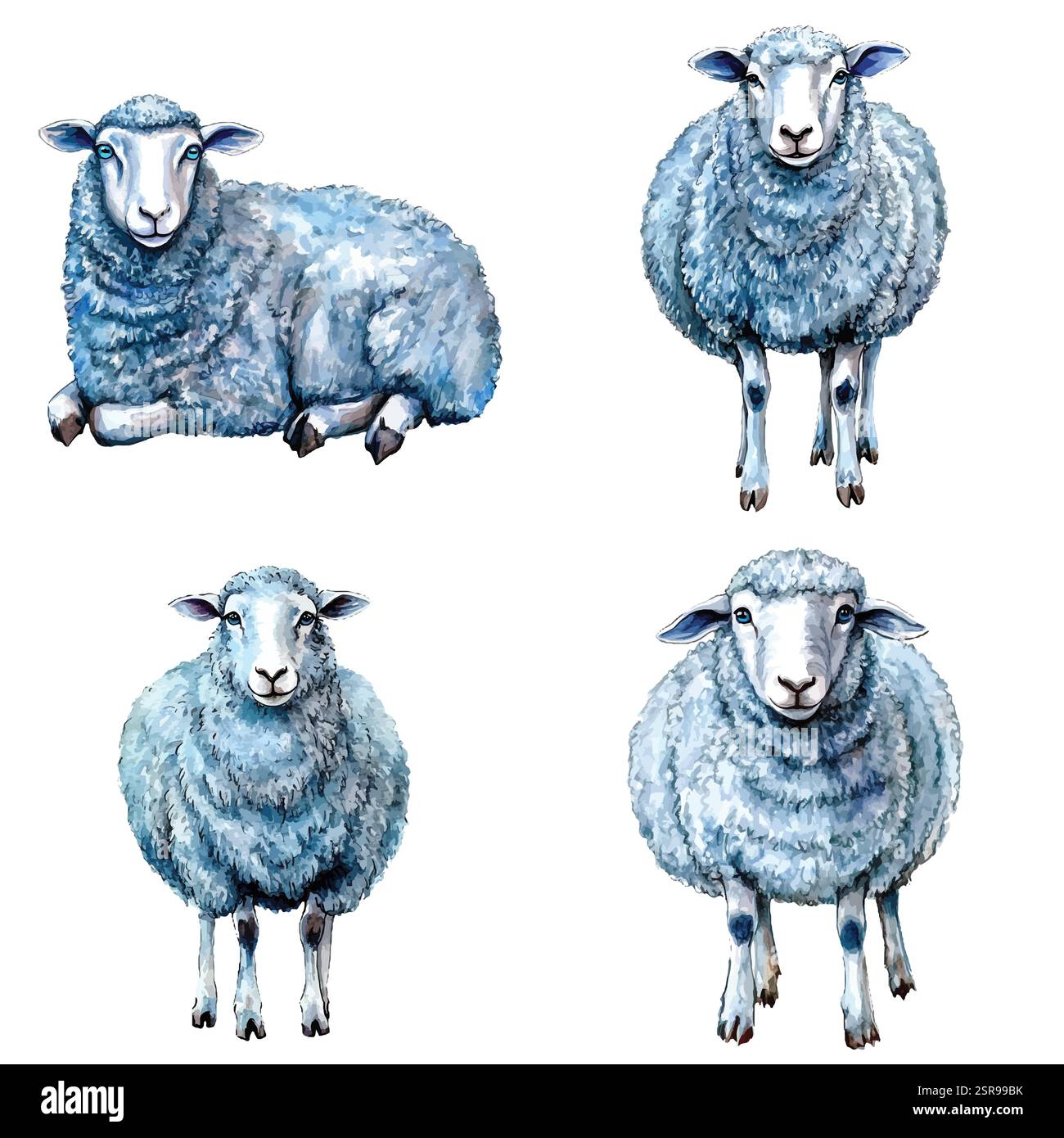 A handdrawn watercolor illustration of Sheep watercolor hand-drawn ...
