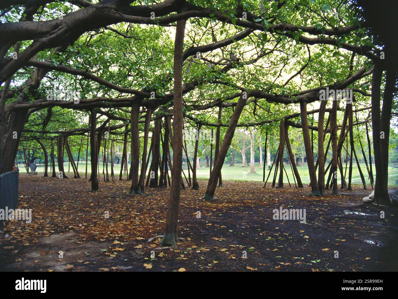 Two hundred forty years hi-res stock photography and images - Alamy