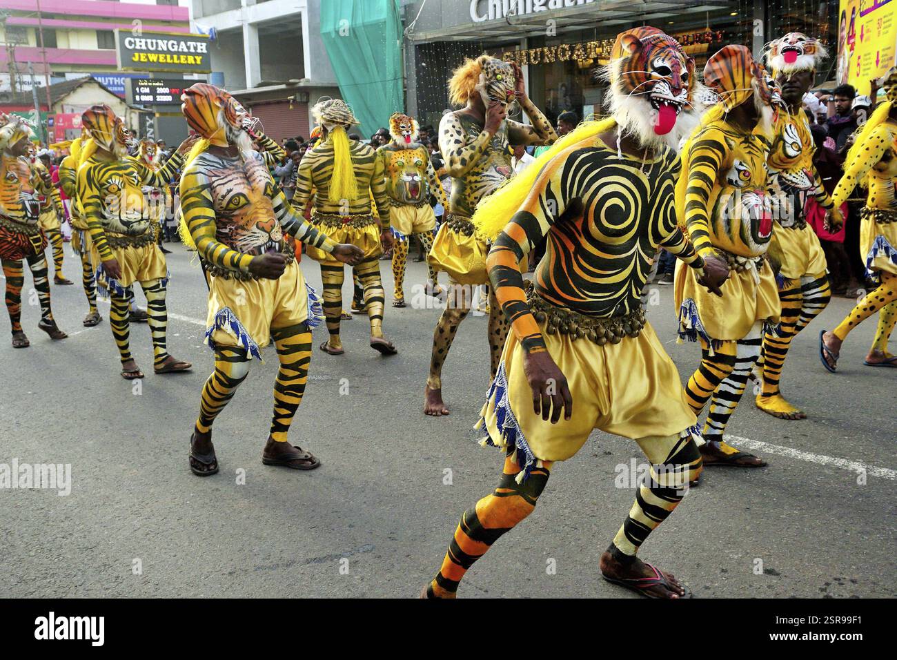 Pulikali Tiger Dance procession, Onam festival, Thrissur, Kerala, India ...