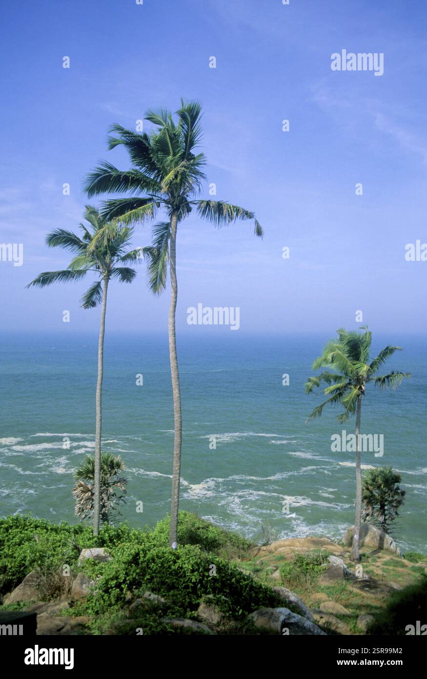 Kovalam beach, Trivandrum, kerala, india Stock Photo - Alamy