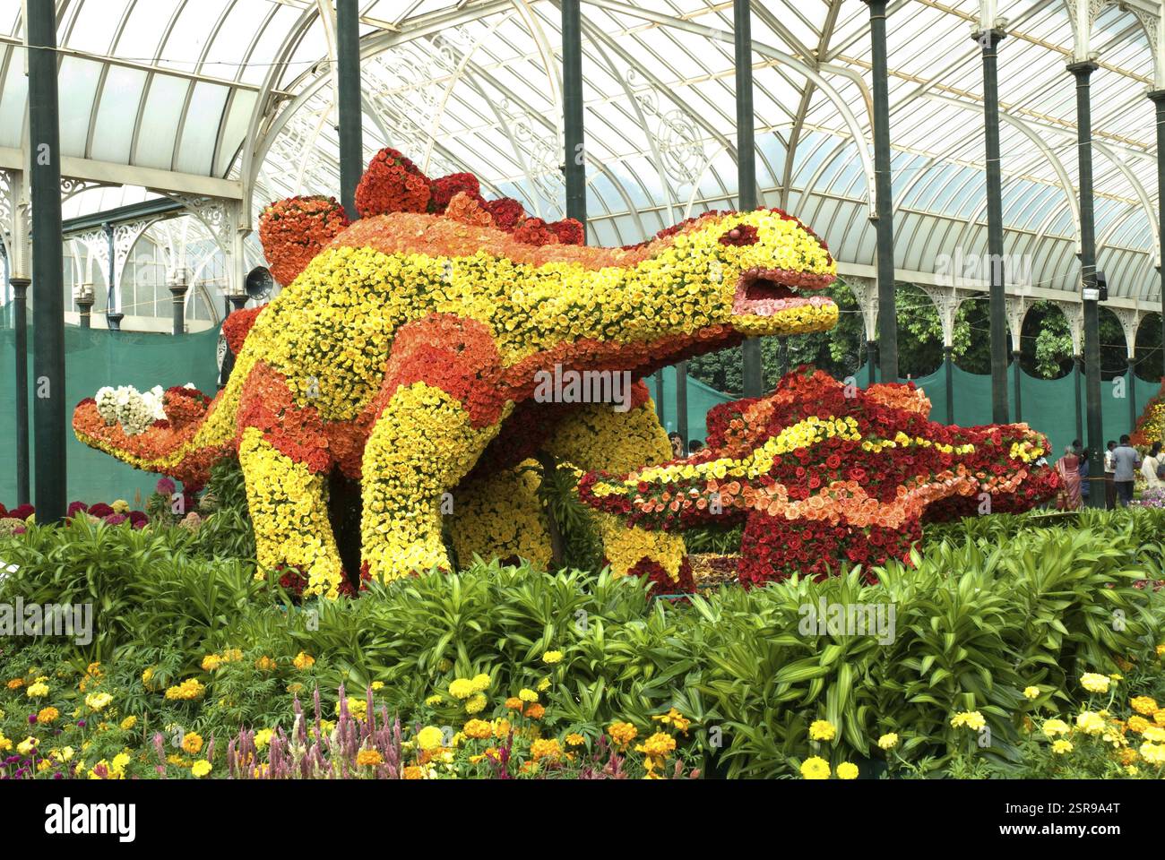 Flower show at Lalbagh botanical garden, Bangalore, Karnataka, India ...