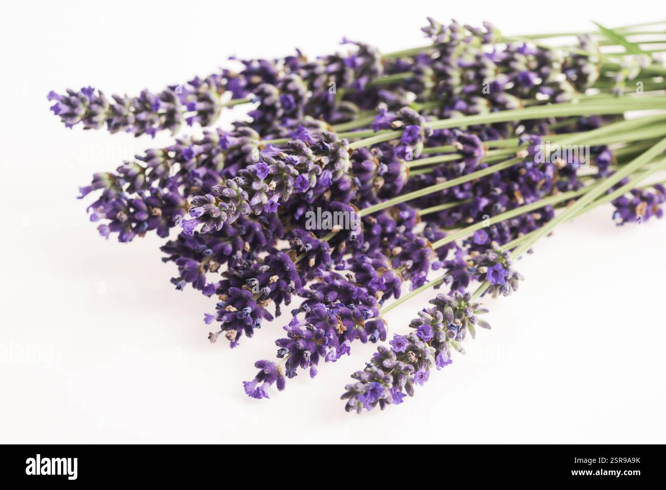 Lavender perfumes Cut Out Stock Images & Pictures - Alamy