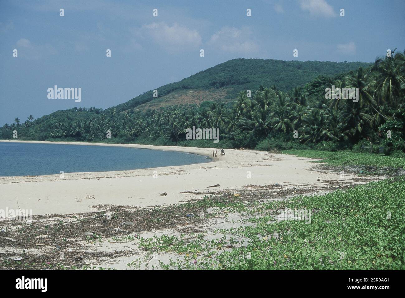 View of Bhogwe Beach, Devbag, Malvan, Konkan, Maharashtra, India, Asia ...