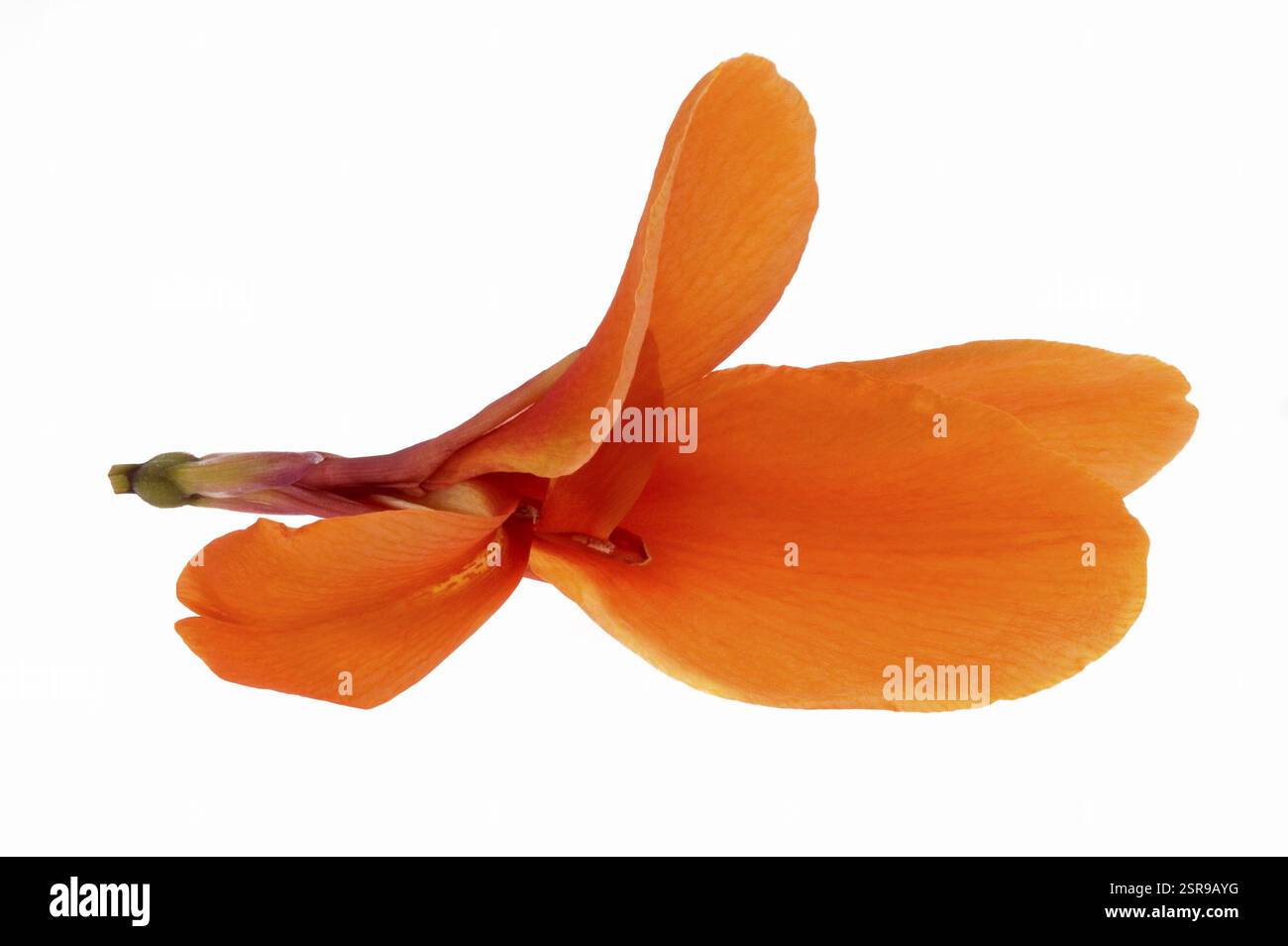 Orange color stone Cut Out Stock Images & Pictures - Alamy