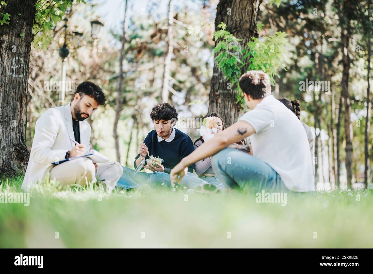 Group of students studying together in a park setting outdoors Stock ...