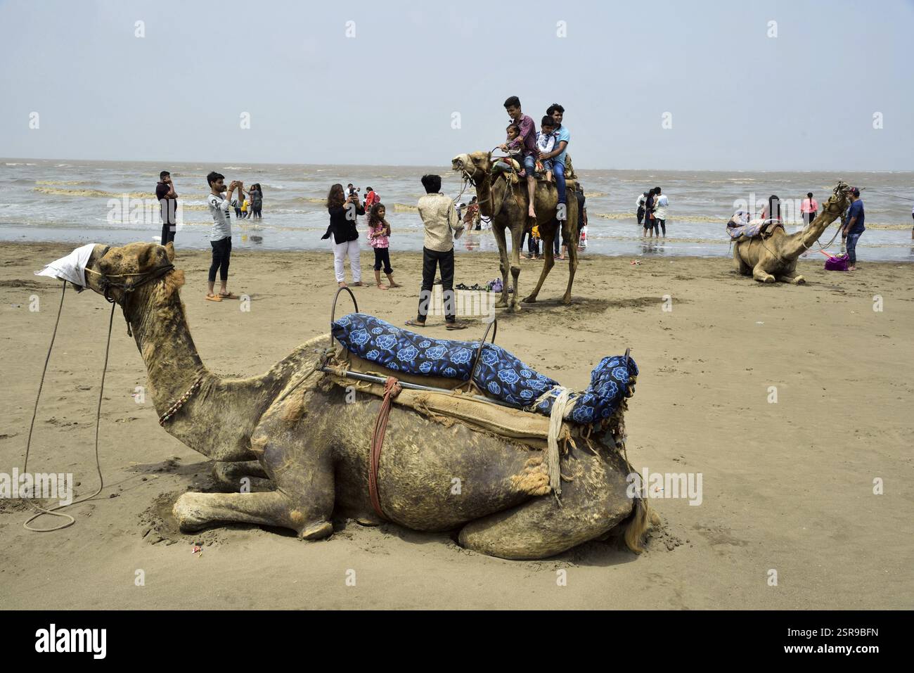 Tourists, Dumas beach, Surat, Gujarat, India, Asia Stock Photo - Alamy