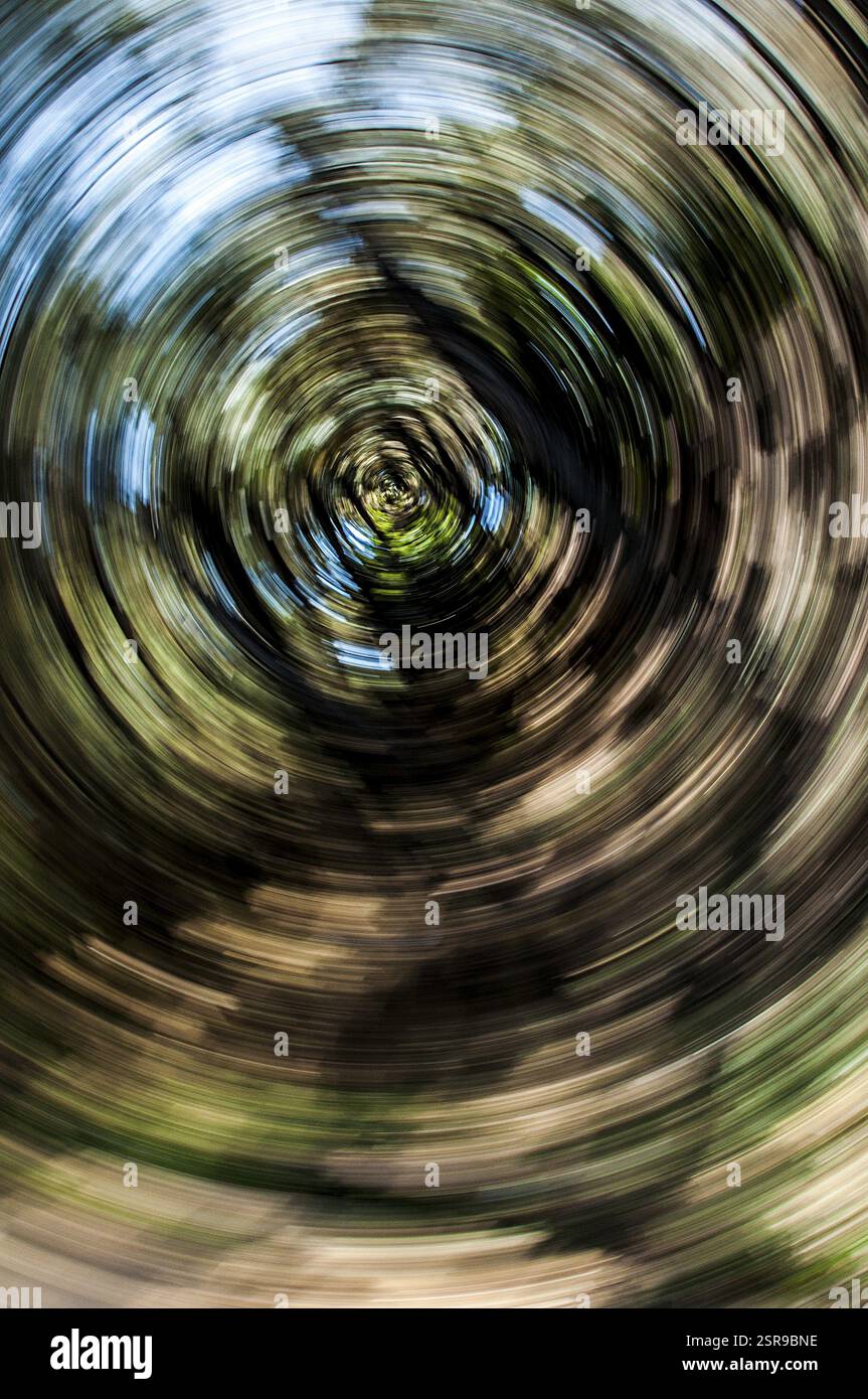 Circular motion picture of trees, India, Asia Stock Photo - Alamy