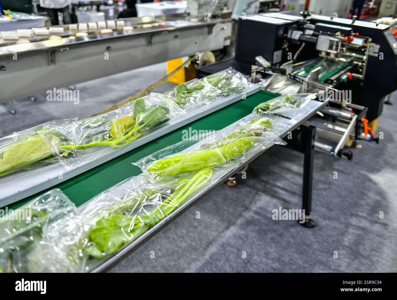 Packaging machine Agricultural vegetables Horizontal speed wrapping in ...