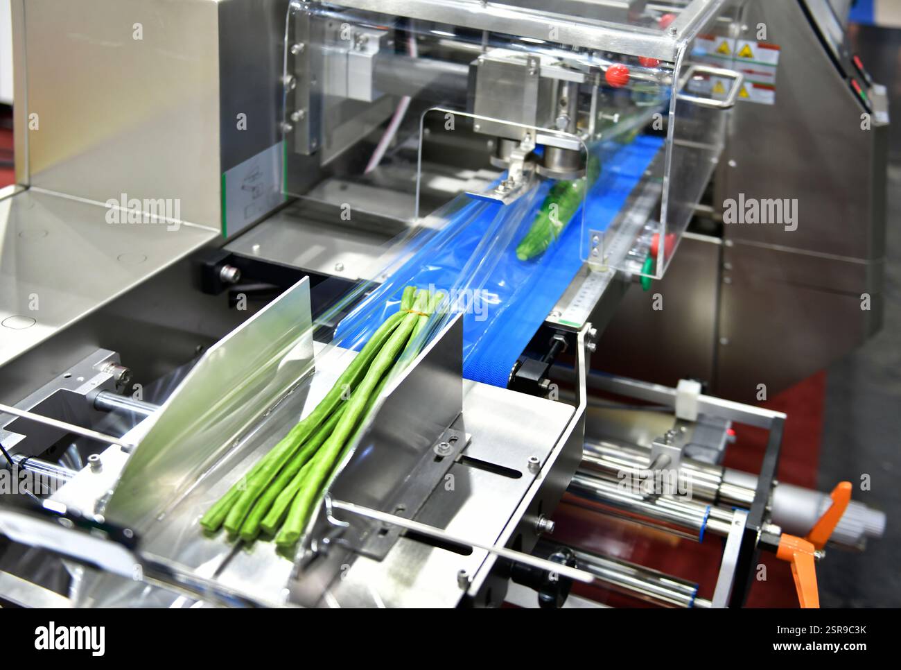 Packaging machine Agricultural vegetables Horizontal speed wrapping in ...