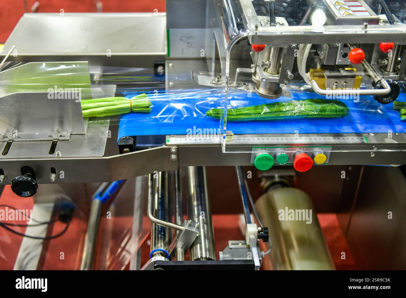 Packaging machine Agricultural vegetables Horizontal speed wrapping in ...