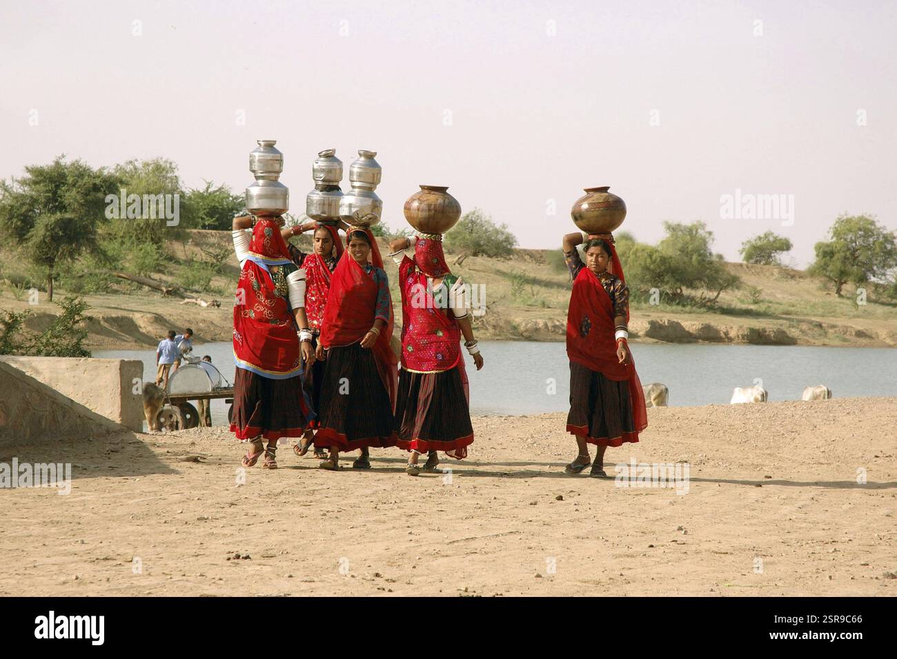 Women bringing water, Balotara, Barmer, Rajasthan, India, Asia Stock ...