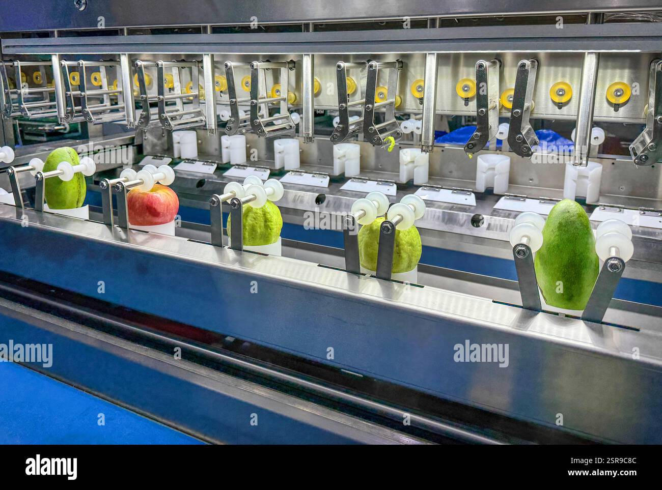 Automatic fresh fruit peeling machine production line on machinery equipment in factory Stock ...