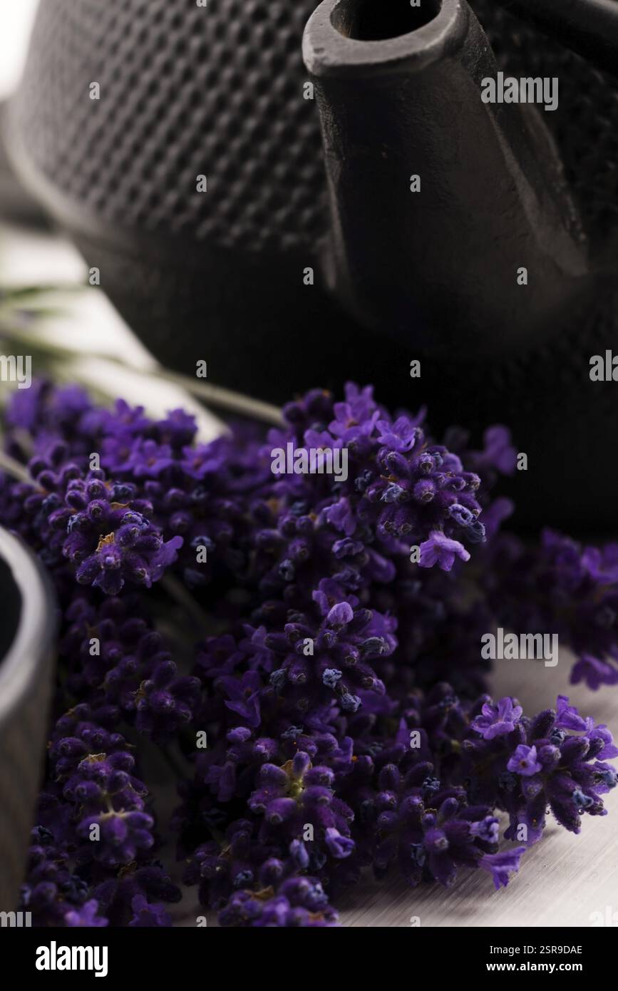 Classy tea hi-res stock photography and images - Alamy