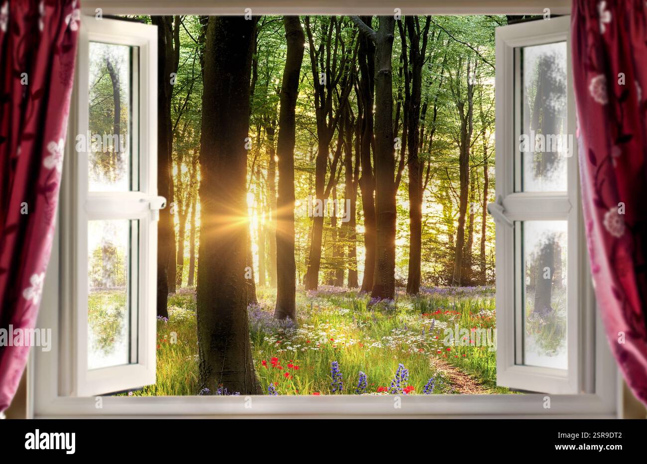 Looking through open window to amazing flower forest landscape. Rural ...