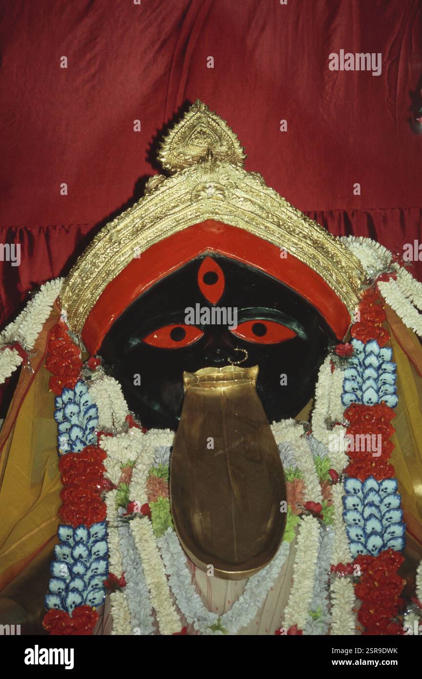 Goddess Kali idol, Assam, India, Asia Stock Photo - Alamy