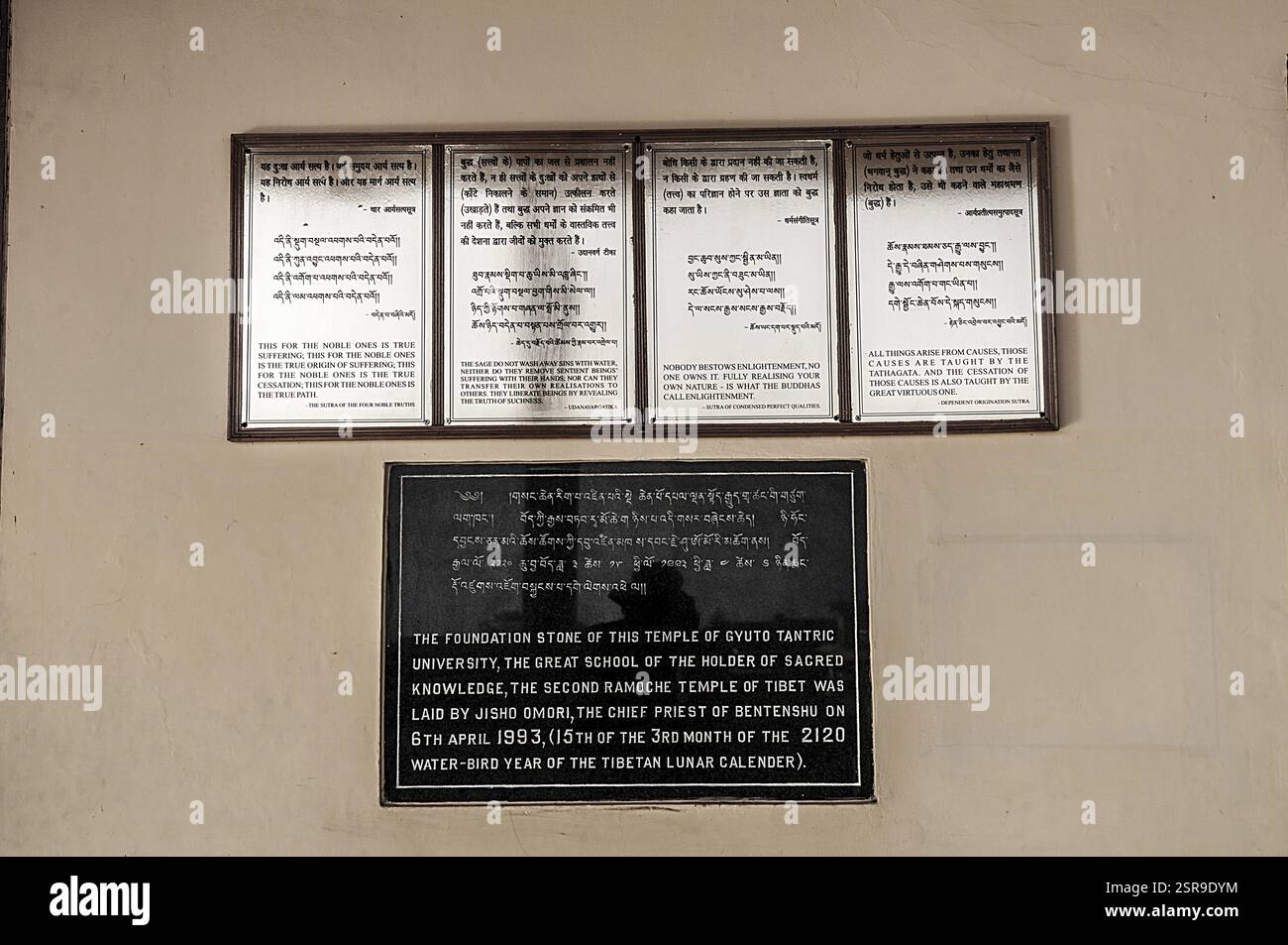 Gyuto Monastery, Dharamsala, Himachal Pradesh, India, Asia Stock Photo ...