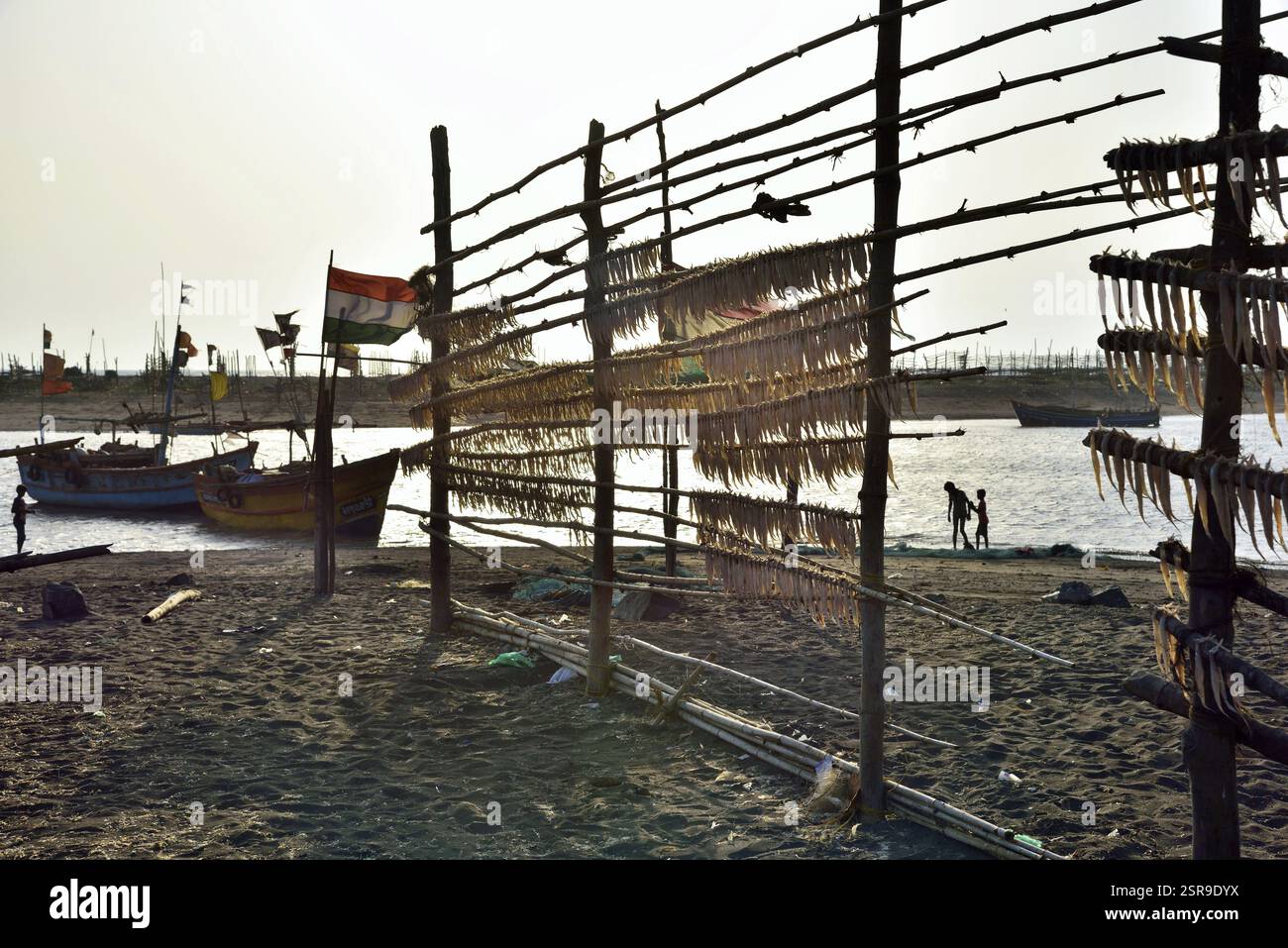 Fishing Boats, Umarsadi Beach, Valsad, Gujarat, India, Asia Stock Photo ...
