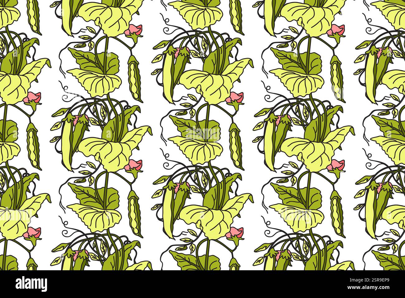 Botanical seamless pattern with cartoon growing green peas vector ...