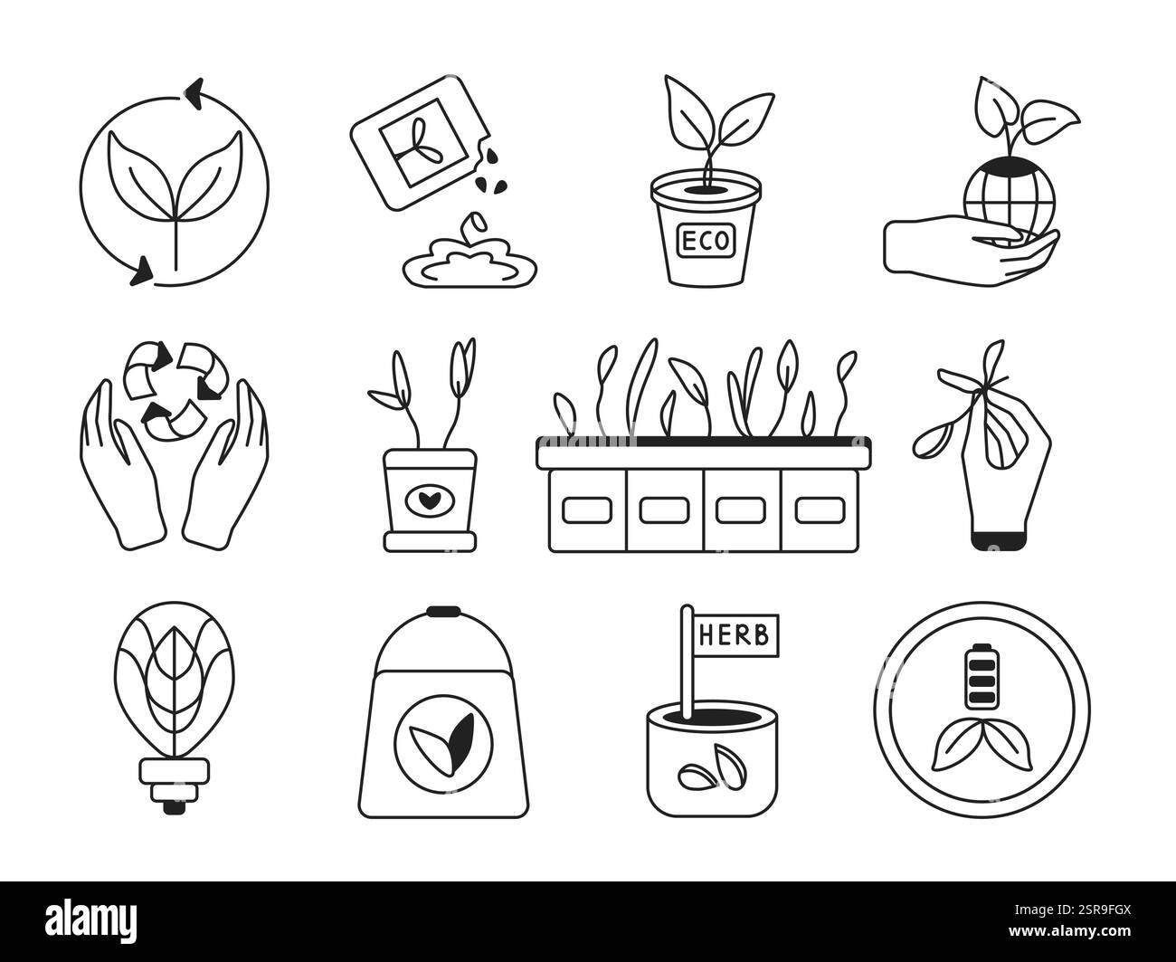 Growing plants, a set of vector linear icons. The includes plants ...