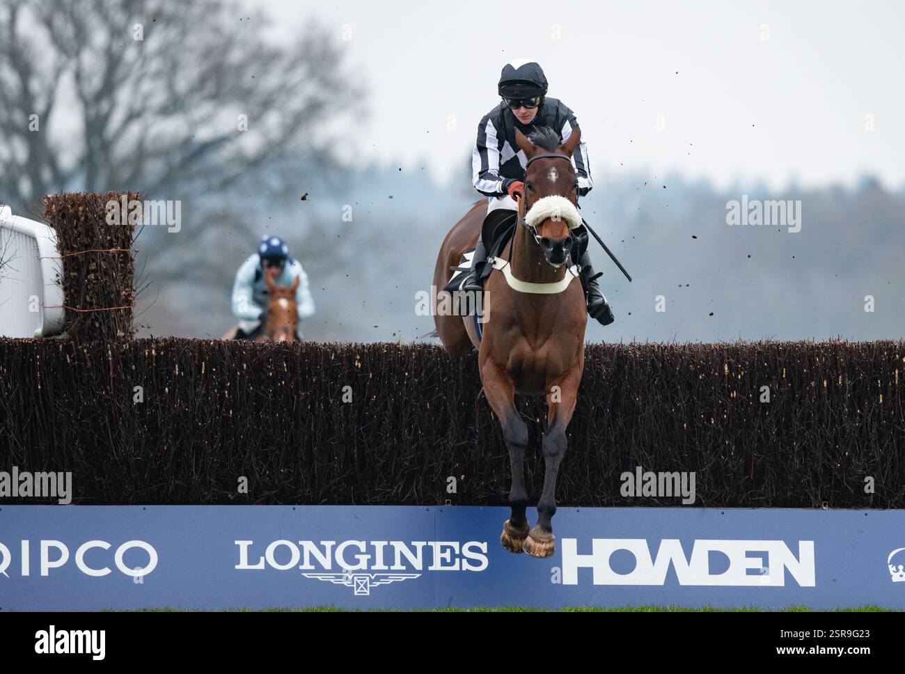 Ascot, United Kingdom. Saturday 15th February 2025. The Changing Man ...