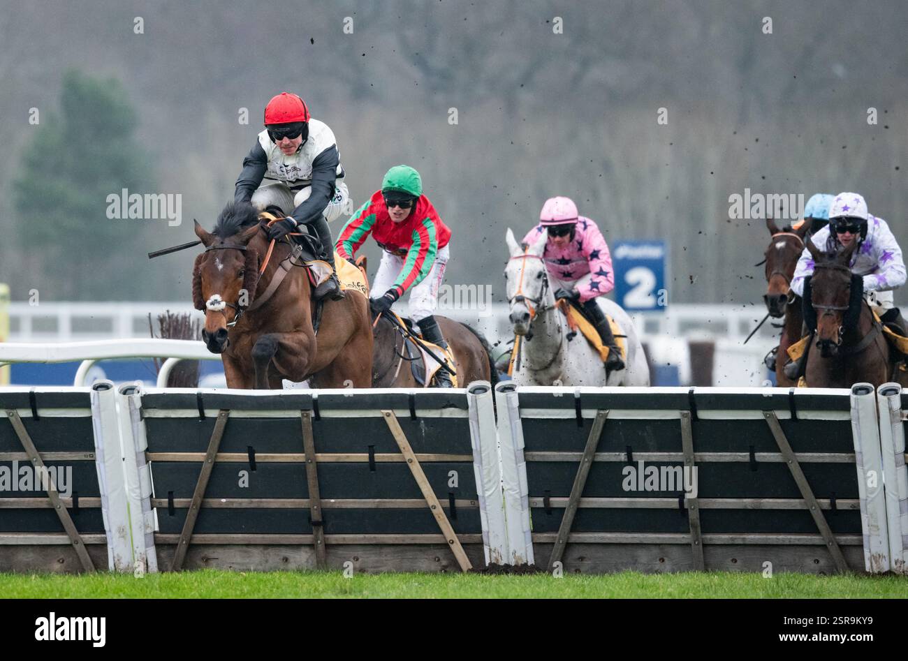 Ascot, United Kingdom. Saturday 15th February 2025. Altobelli and Bryan ...