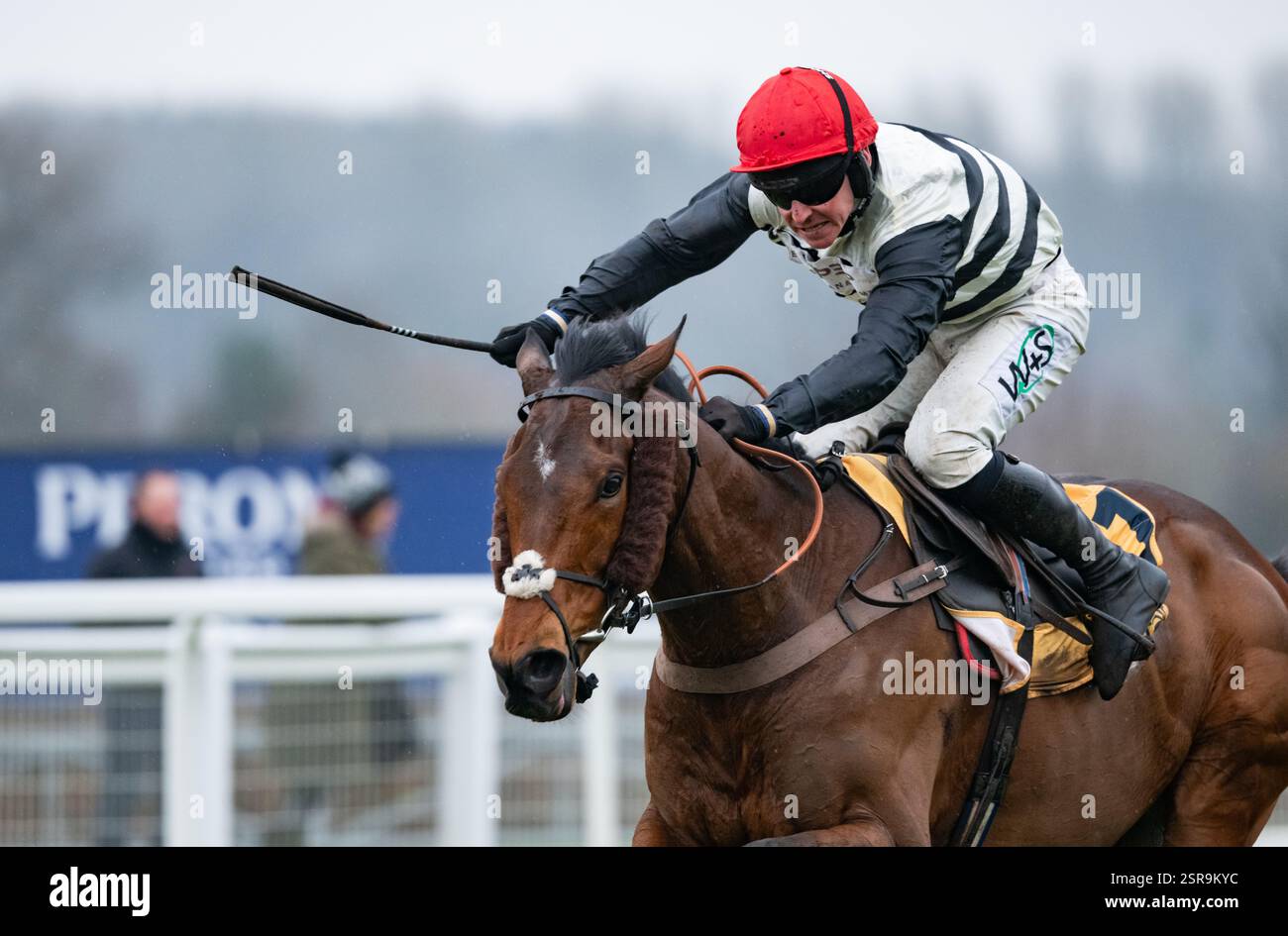 Ascot, United Kingdom. Saturday 15th February 2025. Altobelli and Bryan ...