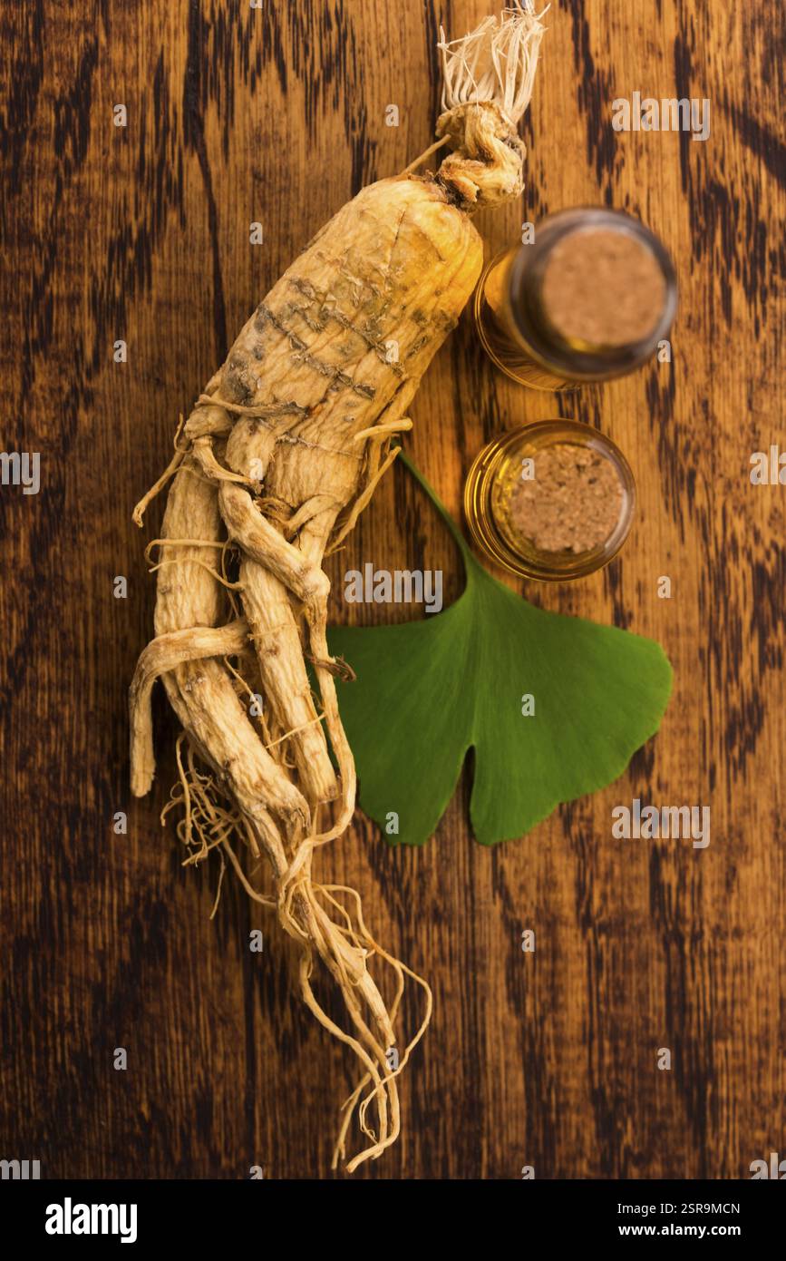 Extract of ginseng root and ginkgo biloba leaves Stock Photo - Alamy