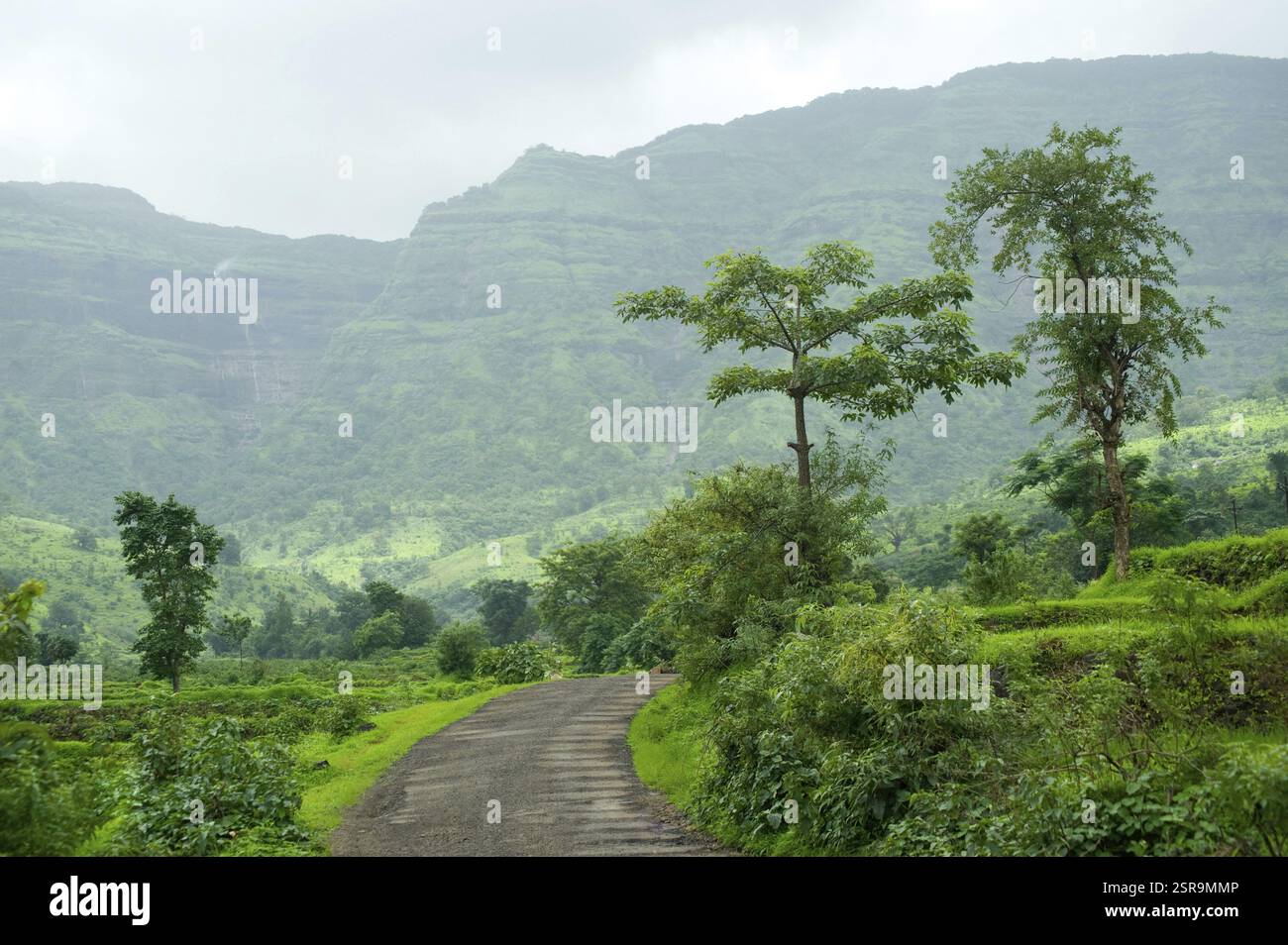 Landscape in monsoon at Panvel, district Raigadh, Maharashtra, India ...
