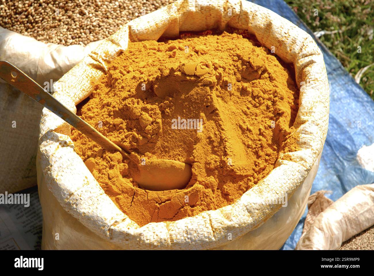 Turmeric powder, Konkan, Maharashtra, India, Asia Stock Photo - Alamy