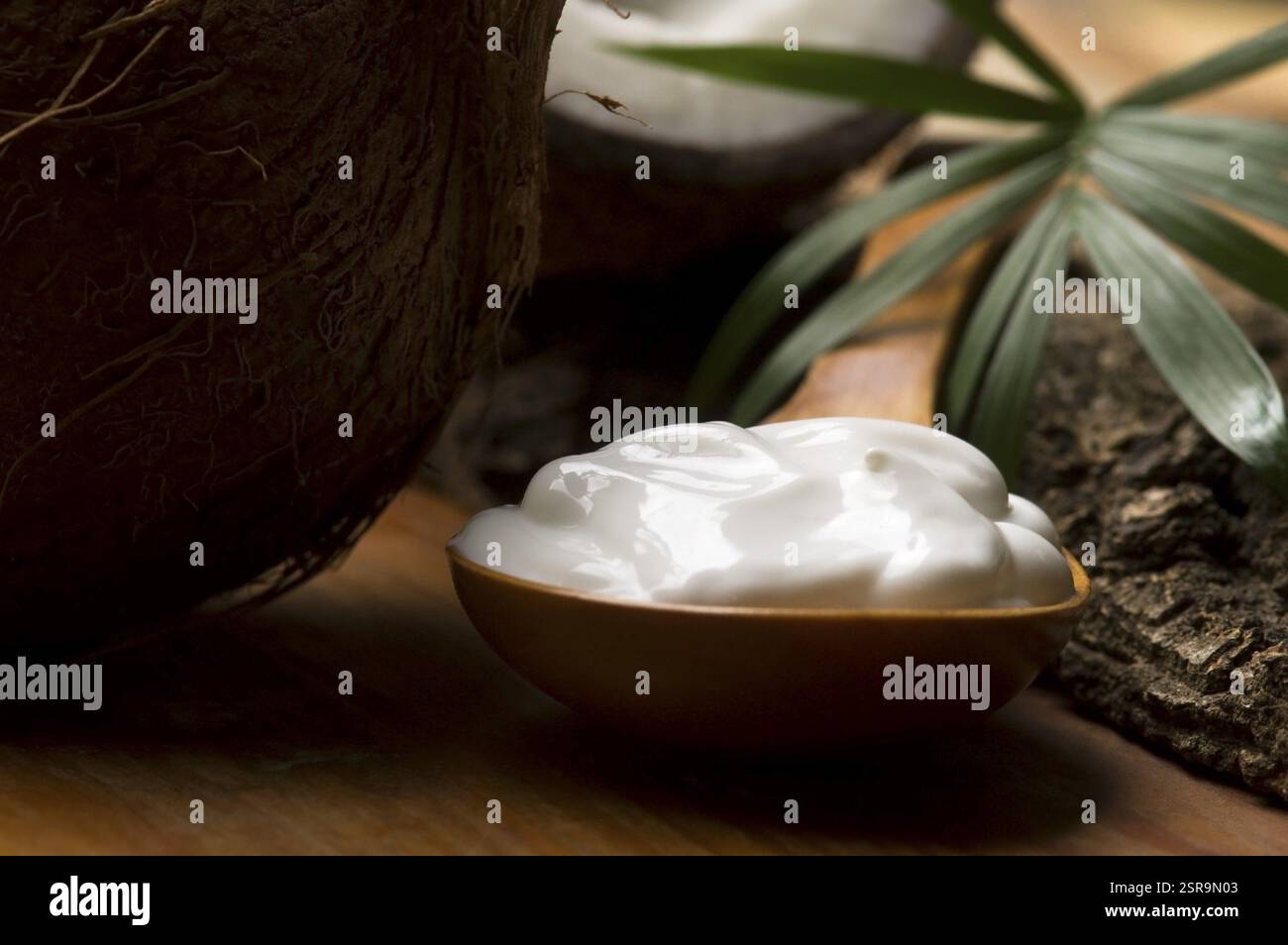 Coconut and coconut oil, poland Stock Photo - Alamy