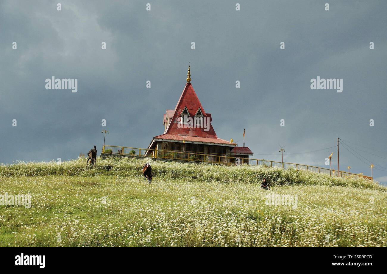 Temple at Gulmarg city, Jammu & Kashmir, India, Asia Stock Photo - Alamy
