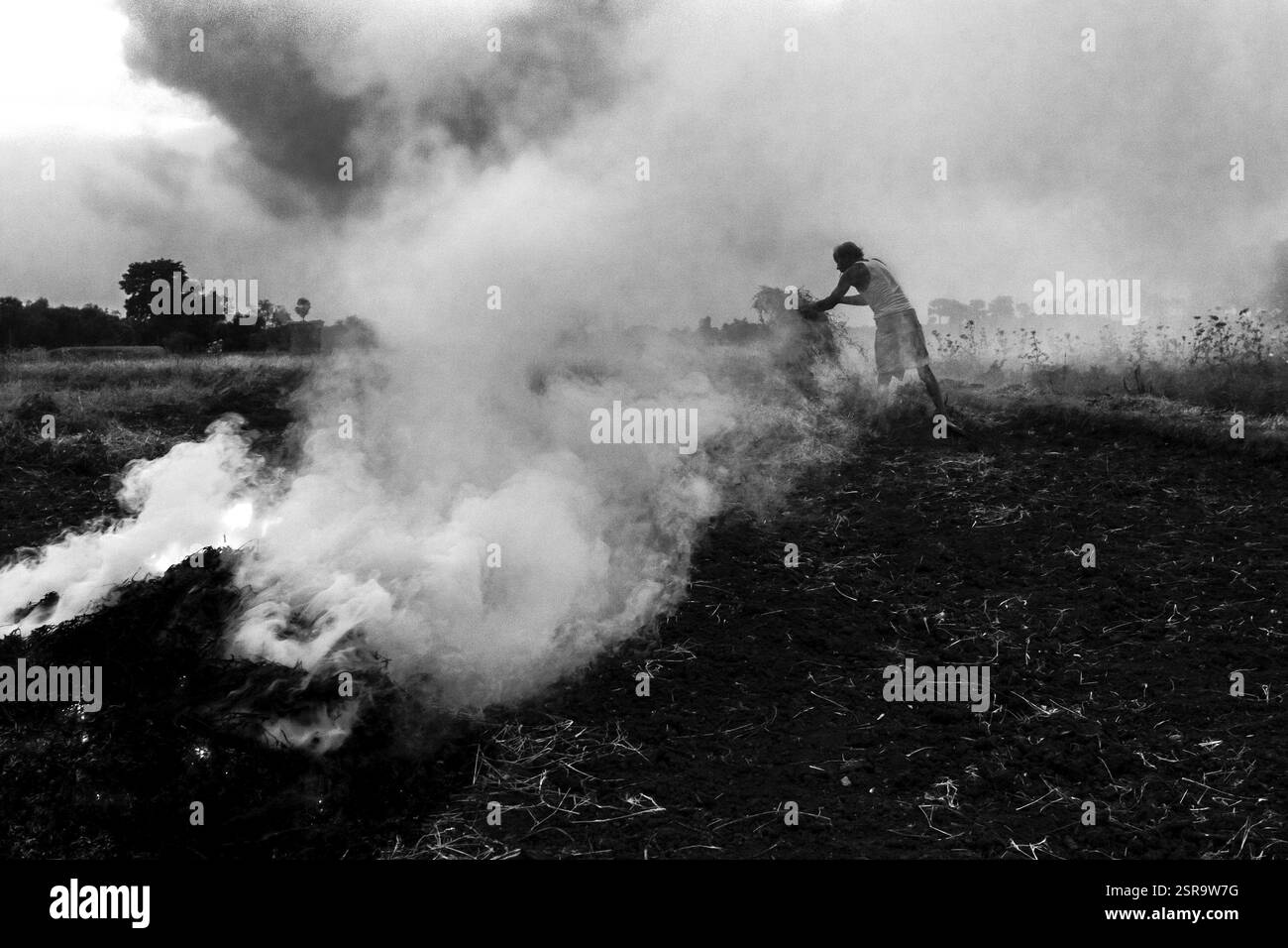 Farmer burning waste in field, Rajarhat, West Bengal, India, Asia Stock ...
