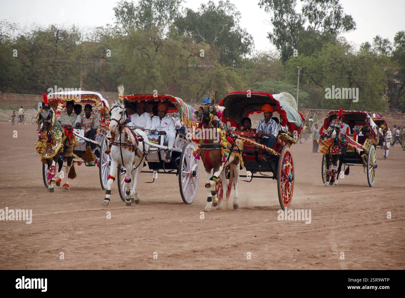 Horse cart race, Jodhpur, Rajasthan, India, Asia Stock Photo - Alamy