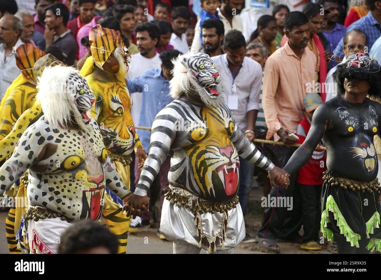 Pulikali Tiger Dance procession, Onam festival, Thrissur, Kerala, India ...