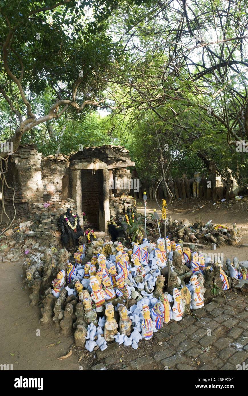 Sacred grove in Tamil Nadu, India, Asia Stock Photo - Alamy