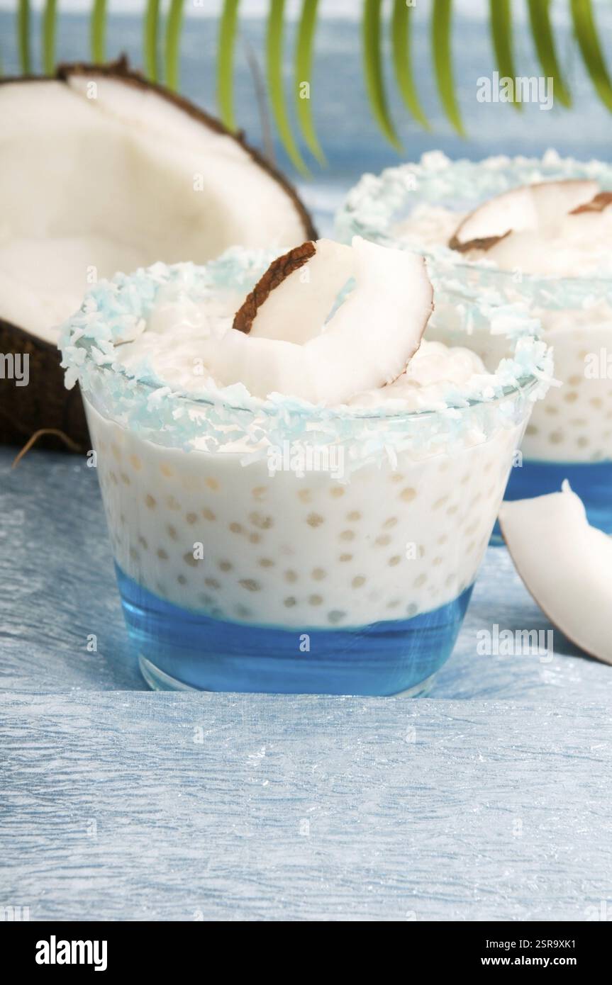 Coconut pudding with tapioca pearls and litchi jelly, poland Stock ...