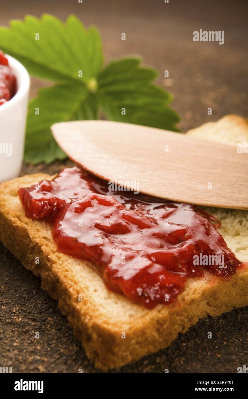 Wild strawberry jam with toast, Poland, Europe Stock Photo - Alamy