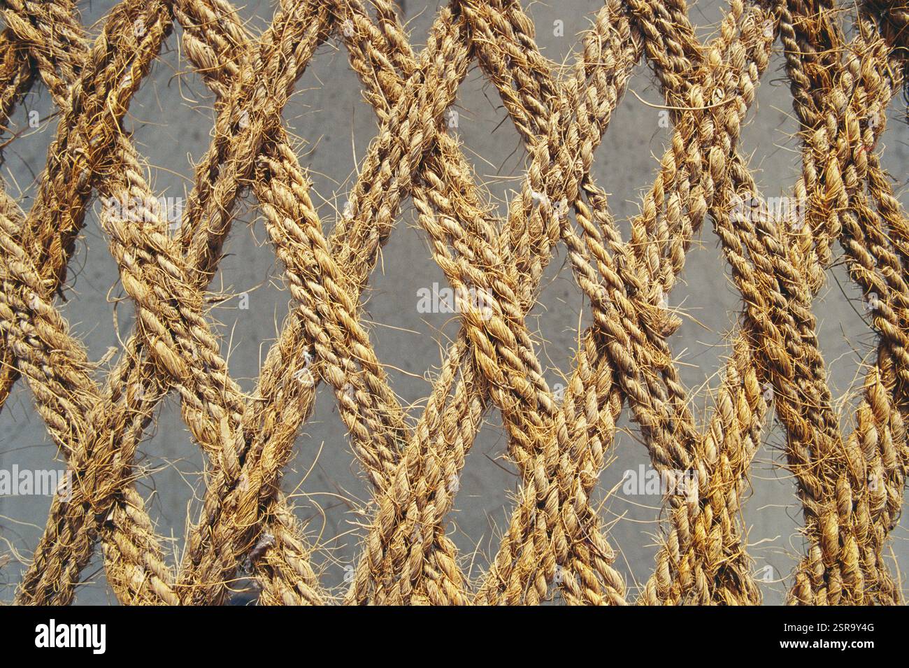 Strings of charpoy coir, Kutch, Gujarat, India, Asia Stock Photo - Alamy