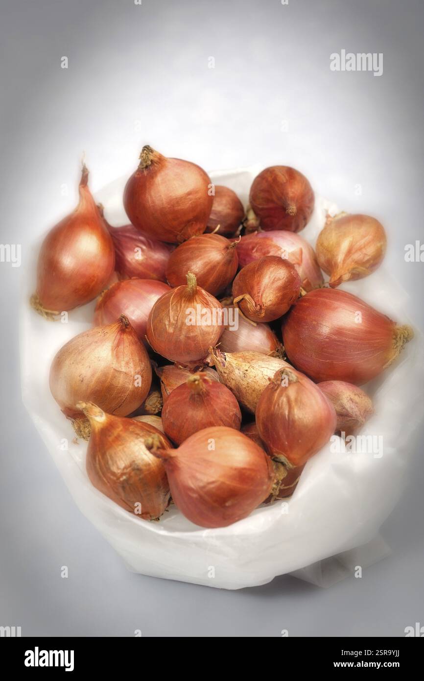 Spices, small onion in plastic bag on white background Stock Photo - Alamy
