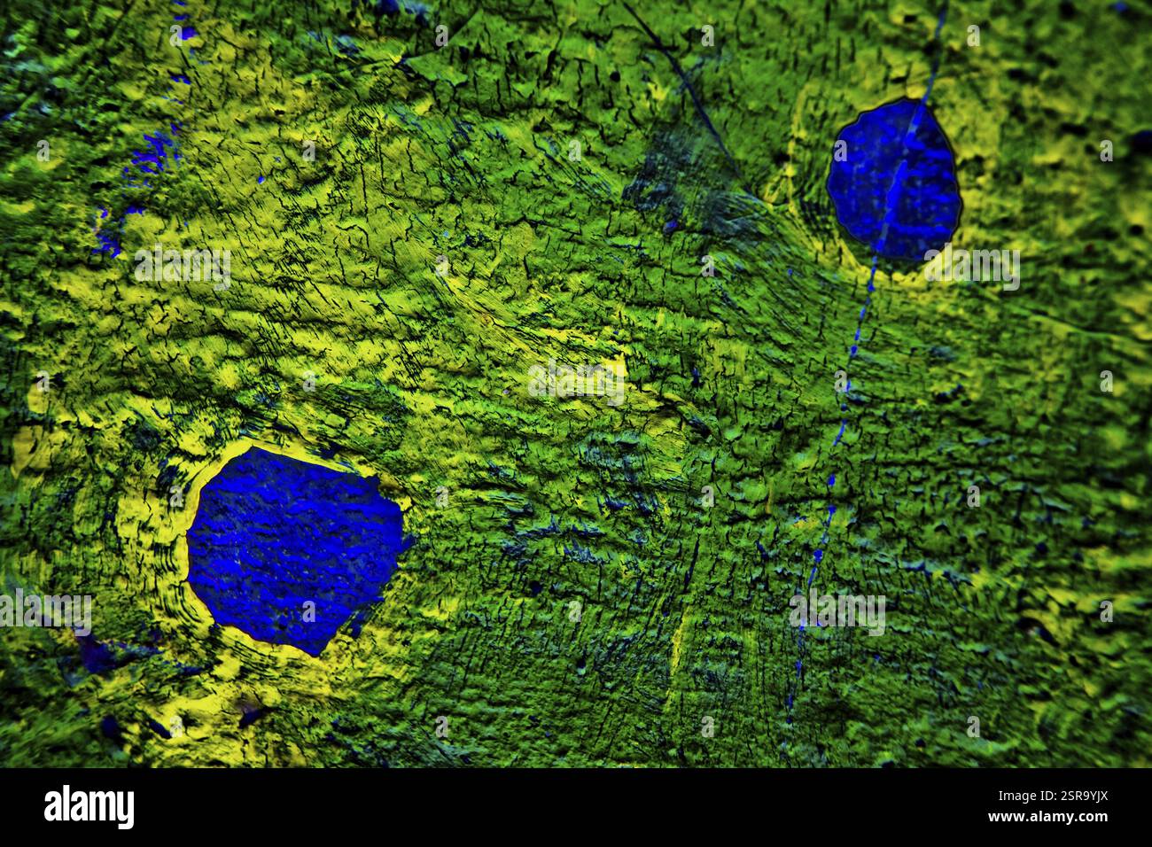 Modern fine art computer graphics designs paintings creative curve and ...