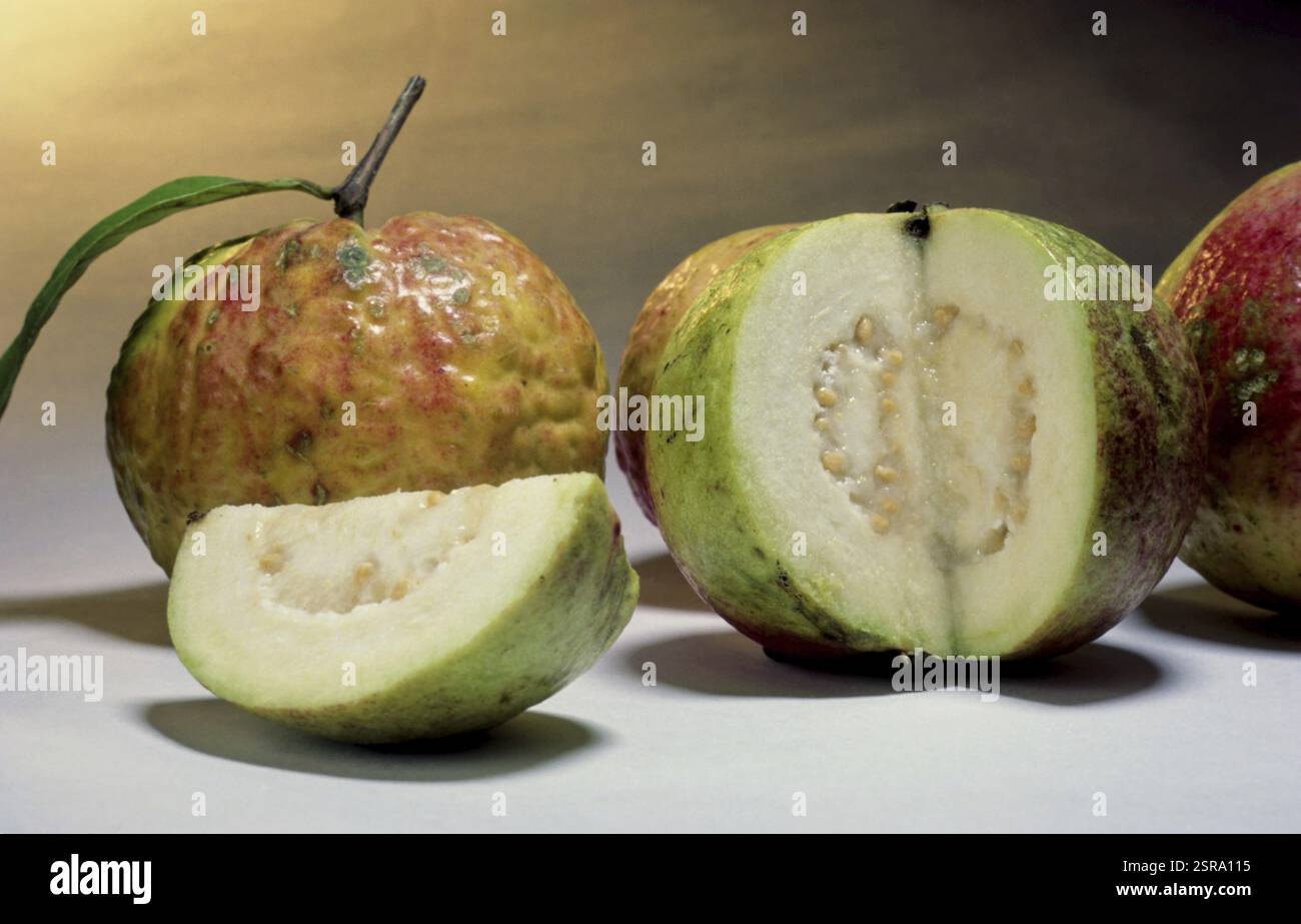 Fruits - Guavas Stock Photo - Alamy