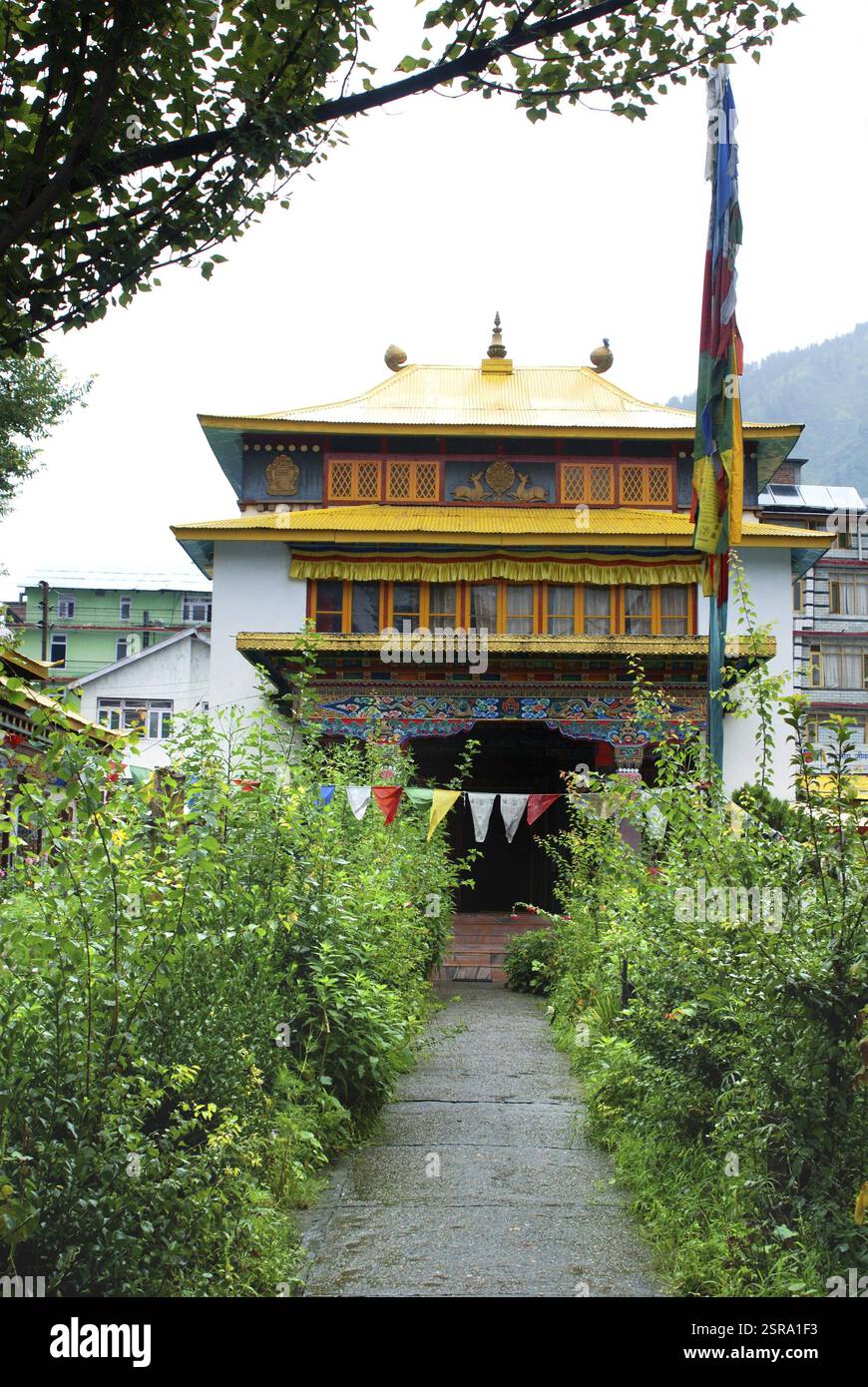 Tibetan monastery, Manali, himachal pradesh, india Stock Photo - Alamy