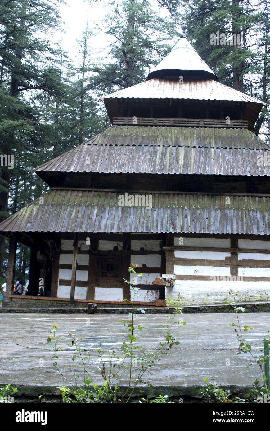 Hadimba maata temple in Manali, Himachal Pradesh, India, Asia Stock ...