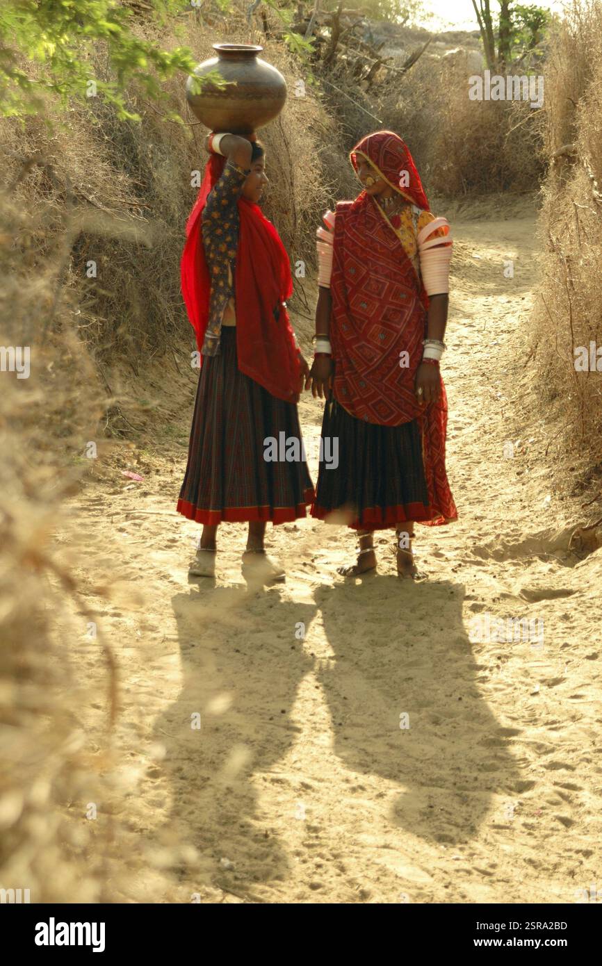 Women bringing water, Balotara, Barmer, Rajasthan, India, Asia Stock ...